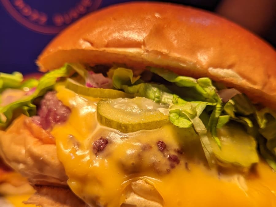 Mozz Burger - Delivery OFICIAL - Montes Claros - MG